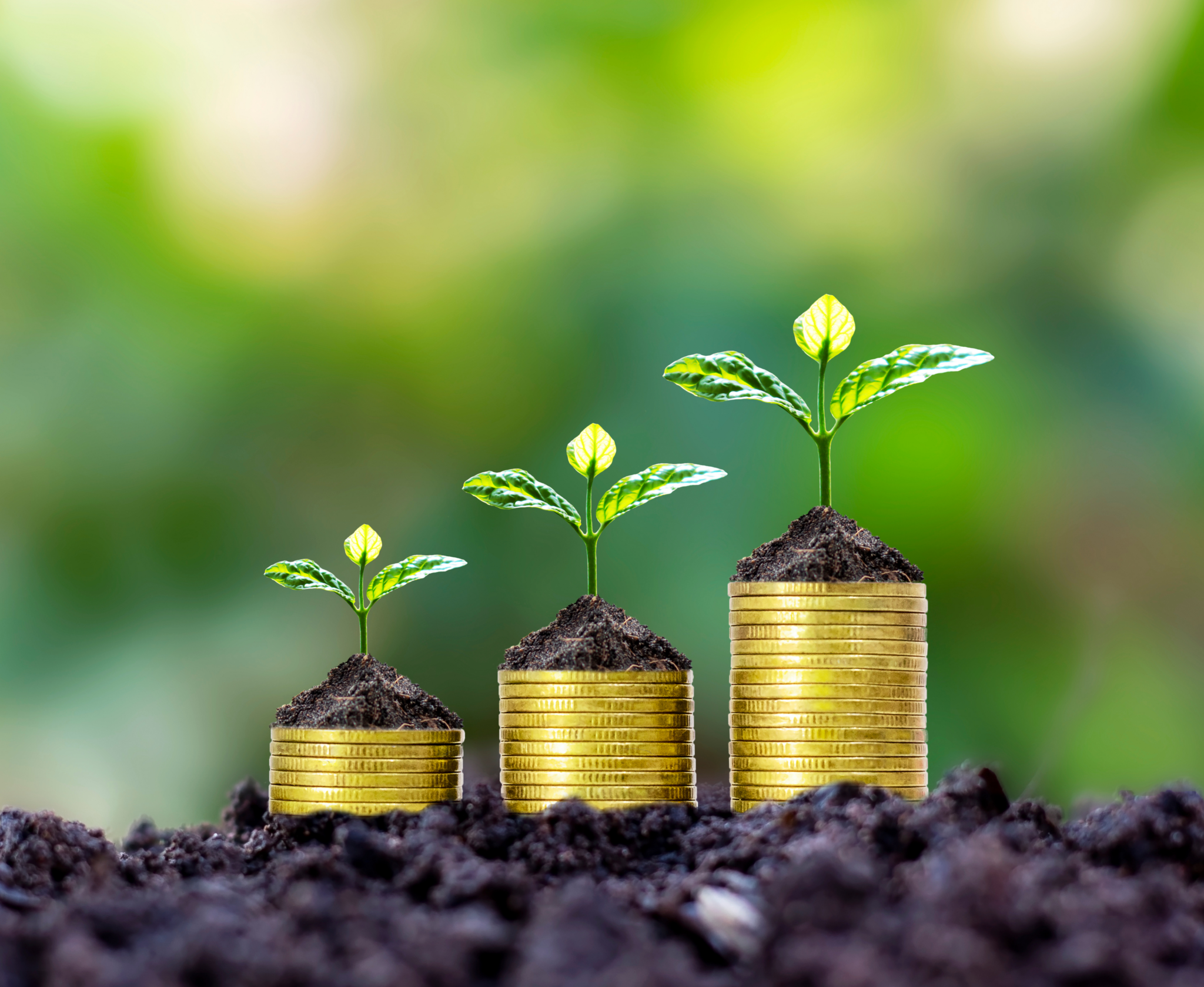 Insights | Lankin Investments